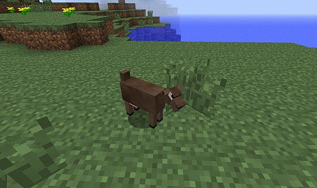 Mo'creatures ALL!! Minecraft Map