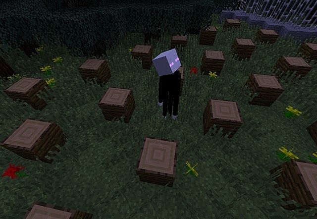 FLENDER Minecraft Map