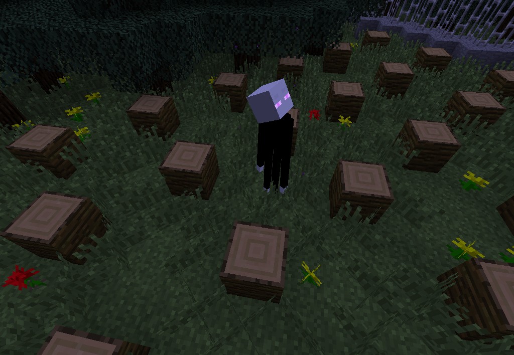 FLENDER Minecraft Map