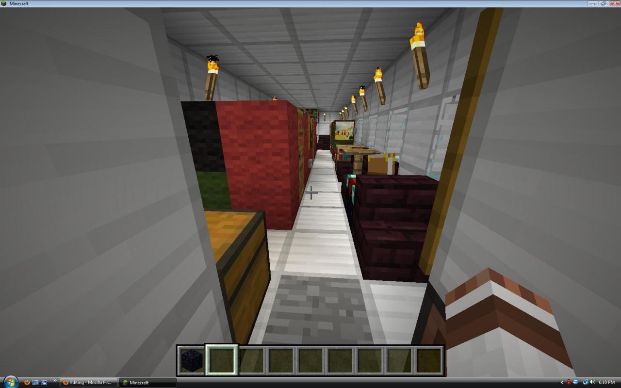 prototype plane Minecraft Map