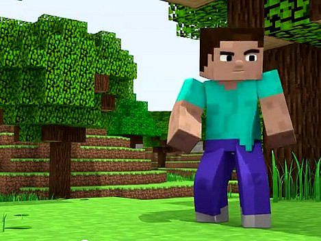 The Saga of Steve (part 2)