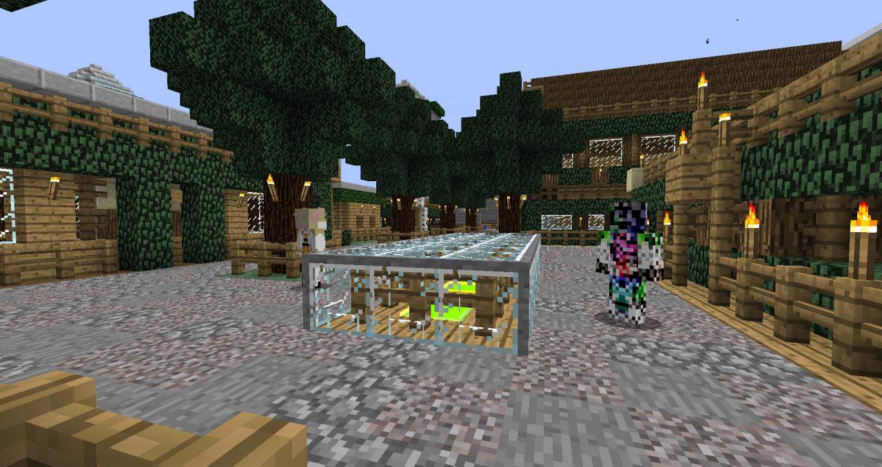 DCcraft===== Minecraft Server