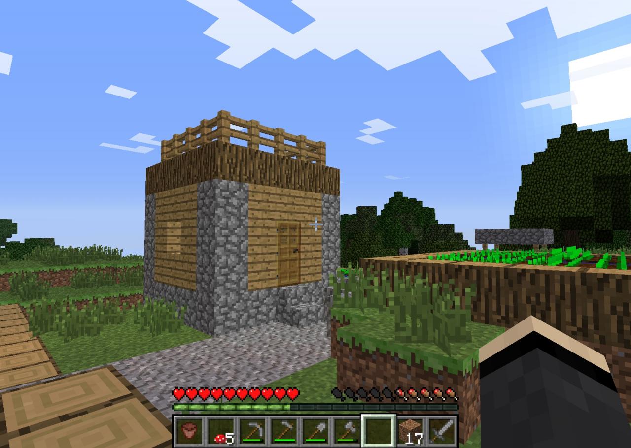 found a house but not a village not a witch hut either? Minecraft Blog