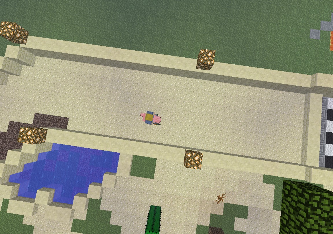 Desert Pig Raceway Minecraft Map