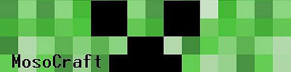 Server Overviews: Minecraft CTF