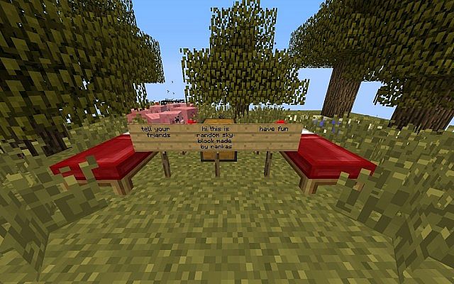 random skyblock by rankas Minecraft Map