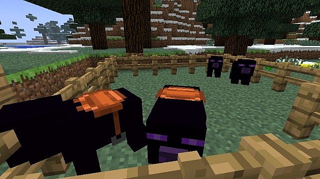 Into the End Minecraft Texture Pack