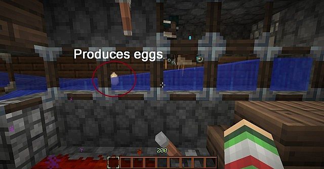 Chicken/Eggs Factory Minecraft Map