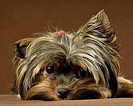 Single Player Art Minecraft Map