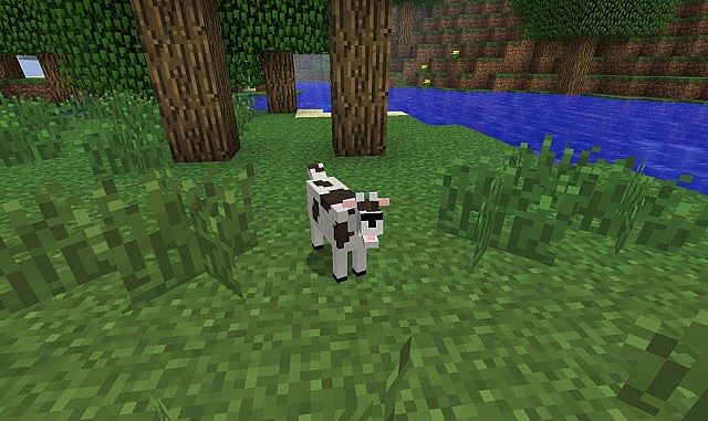 Mo'creatures only animals Minecraft Map