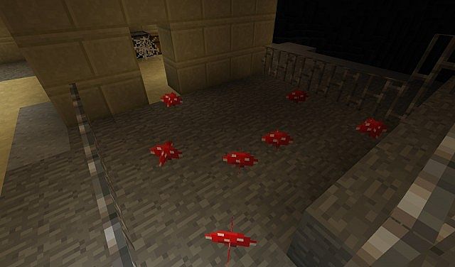 Nether Rift Minecraft Map