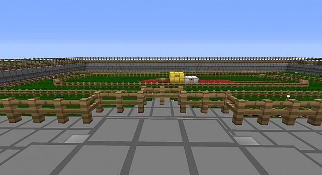 Pig Racing Minecraft Map