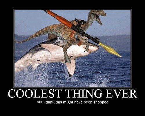 LETS PLAY SURVIVAL IN MINECRAFT