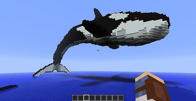 Giant Orca Couple Minecraft Map