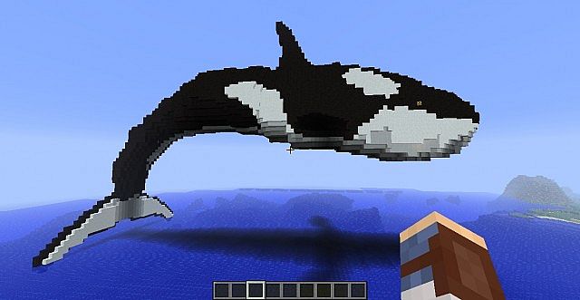 Giant Orca Couple Minecraft Map