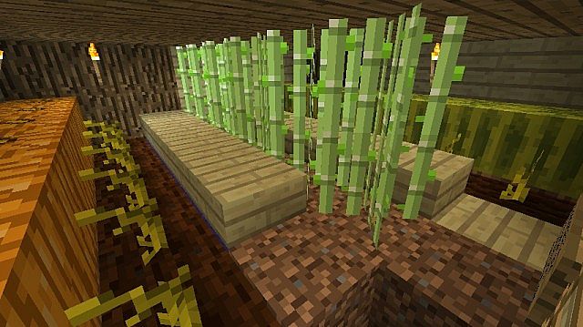 Giant Torch House Minecraft Map