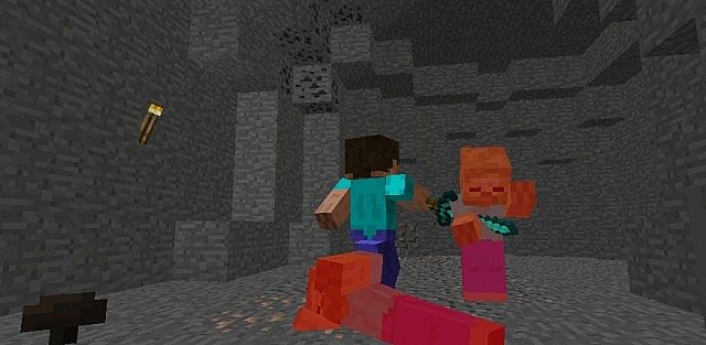 Minecraft Animations