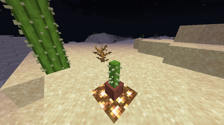 3D cactus 16x16 Minecraft Texture Pack