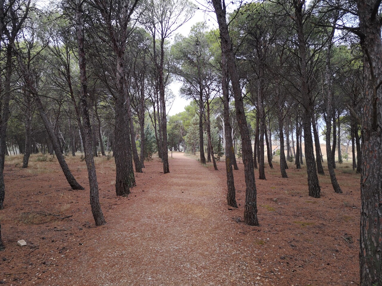 Megalos Nikao [Escape] [Adventure] [Story] Minecraft Map