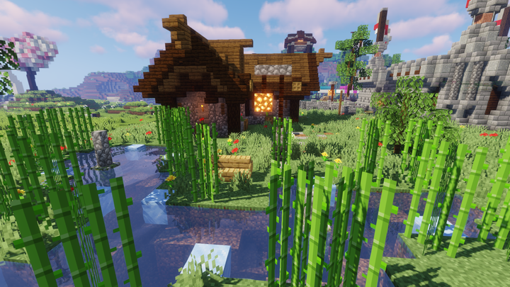 Xeno Network Minecraft Server