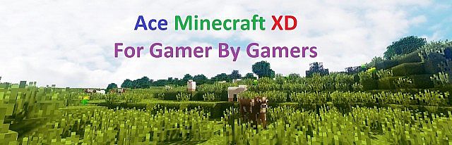 Ace Minecraft Minecraft Server