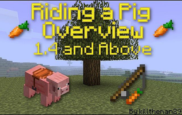 Pig Riding Overview - Complete Guide