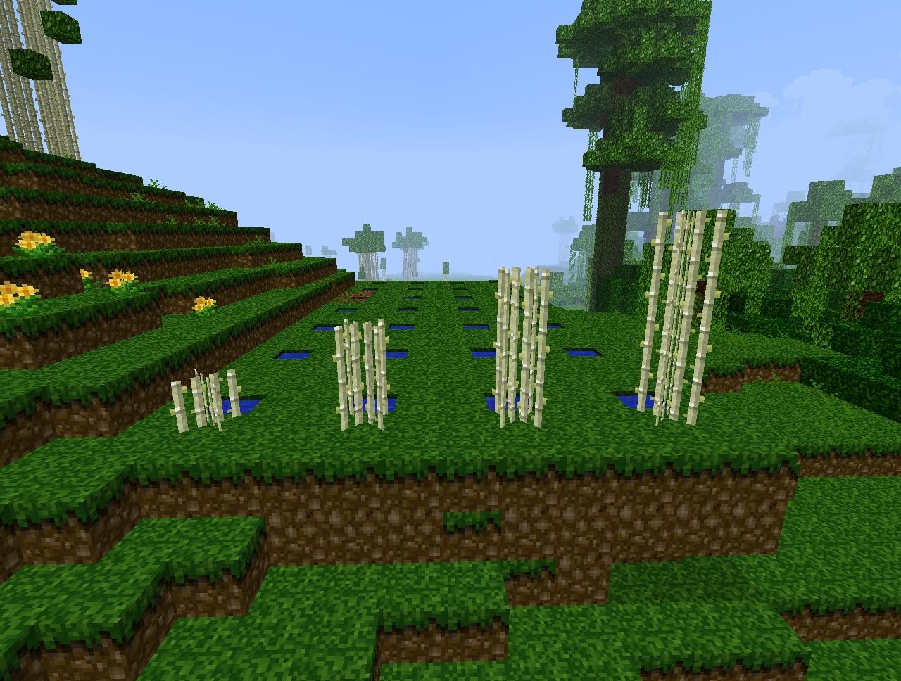 Bamboo forest biome Minecraft Map