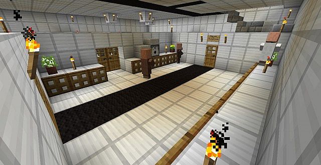 The Perfect Job Minecraft Map