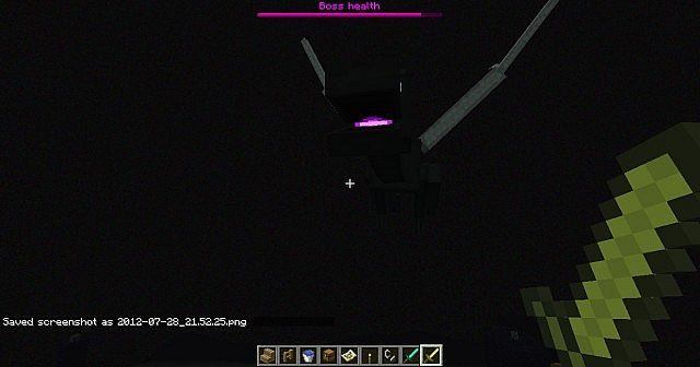 Ender Dragon slayer!