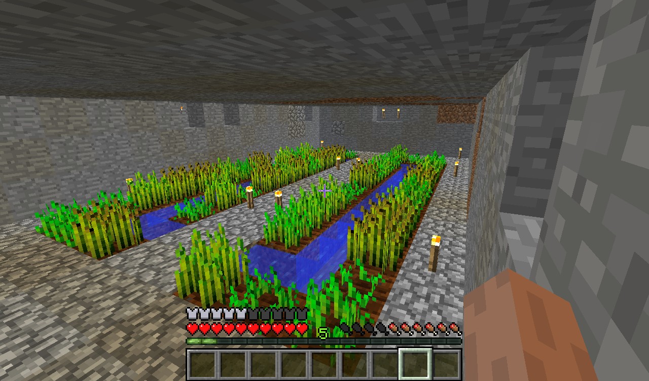 My Awesome Survival World. Large House, Animal Farms, Caves, etc ...