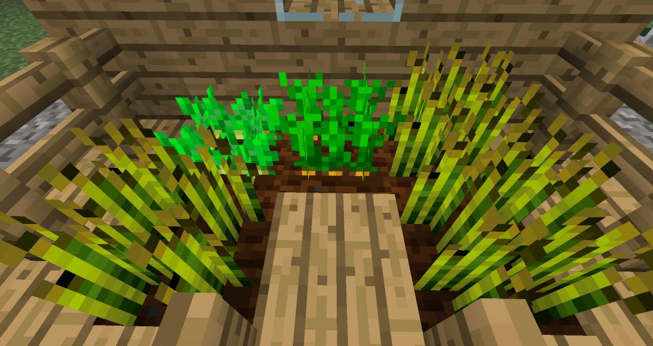 super compact survival house Minecraft Map