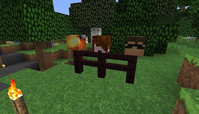 [ADV/PARK]Missing Chunks :Herobrines Last Stand TEST Minecraft Map