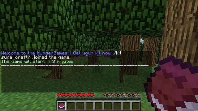 KIT HUNGER GAMES! BUILD & TEAM WITH FRIENDS! Minecraft Server