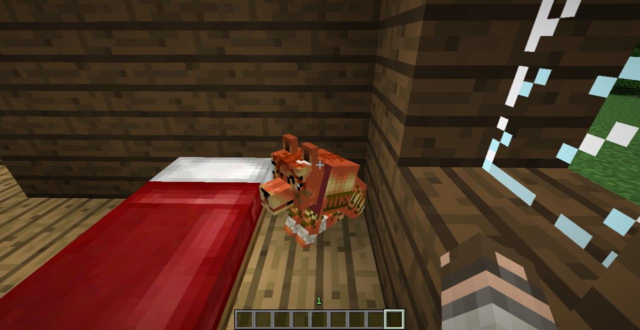 ClashJTM DumbCraft World Download Minecraft Map