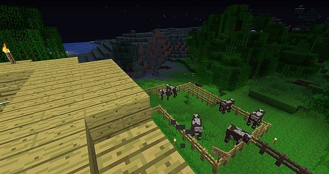Direwolf20 FTB Server Minecraft Server