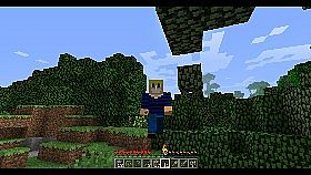 Minecraft Lets play Minecraft Map