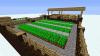 Elevated farm Minecraft Map