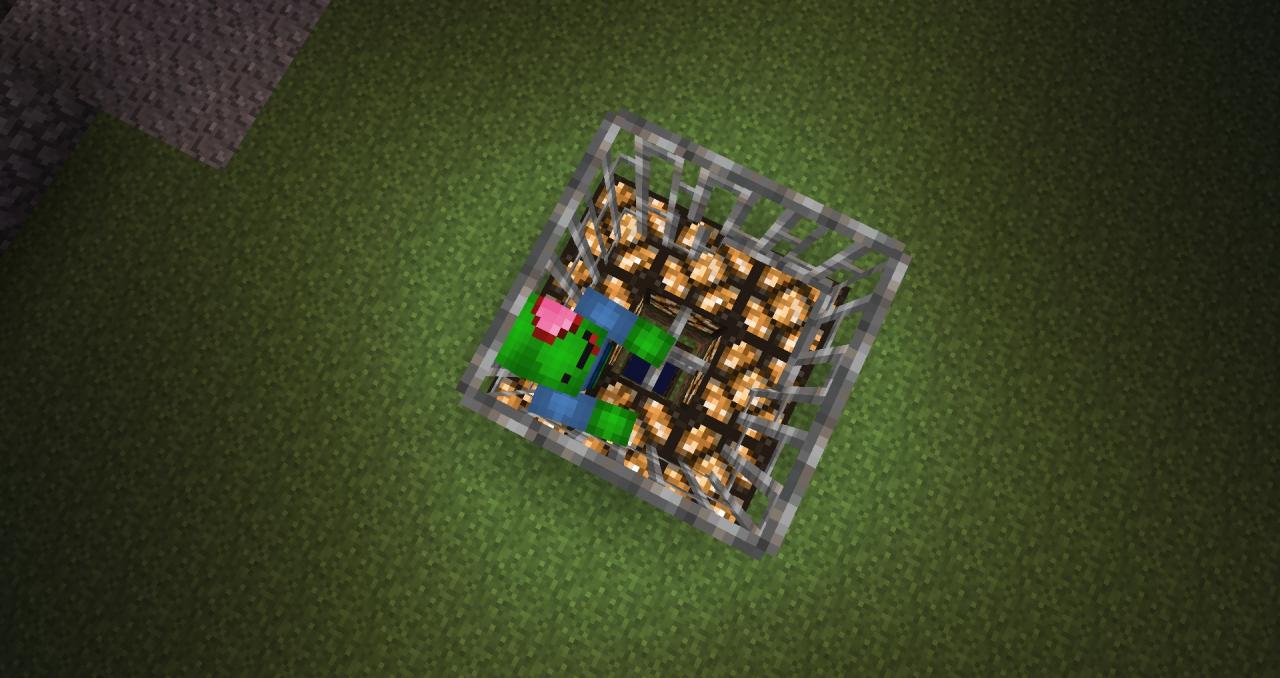 max craft Minecraft Texture Pack