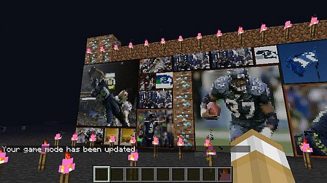 Seahawks Art Work Minecraft Texture Pack