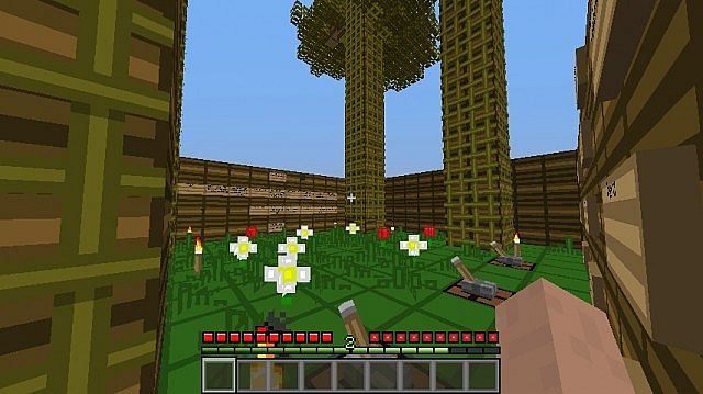 Coco Maze Minecraft Map