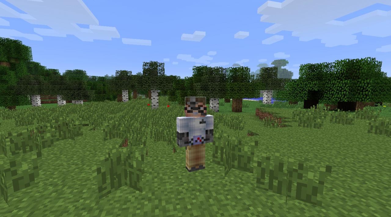 Pylon Craft Minecraft Server