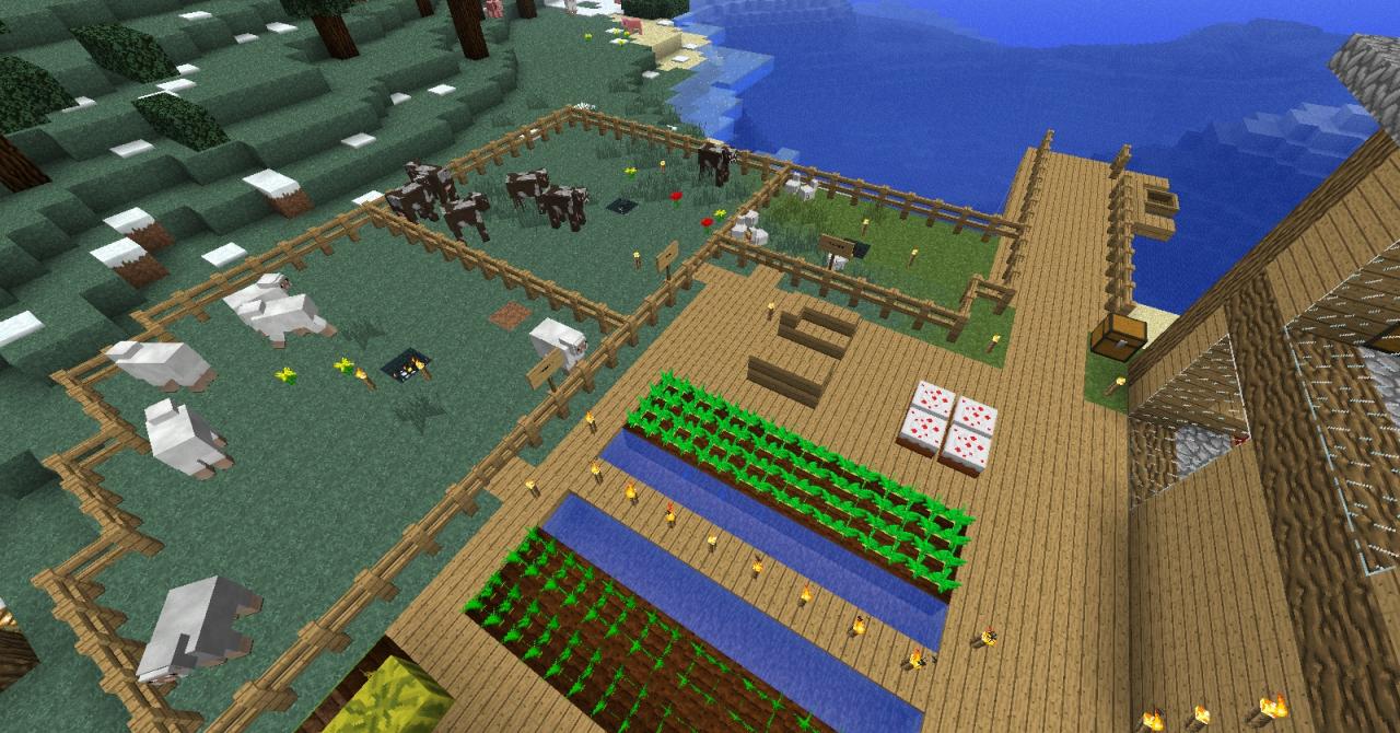 Survival starter world Minecraft Map