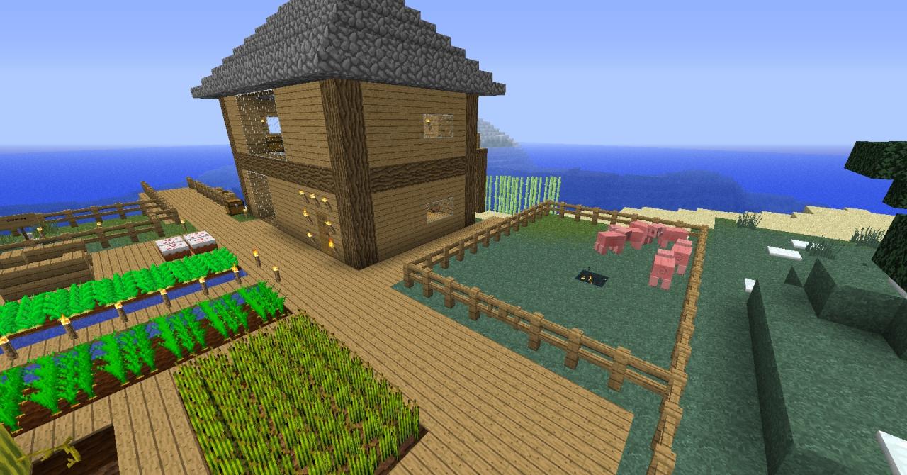 Survival starter world Minecraft Map