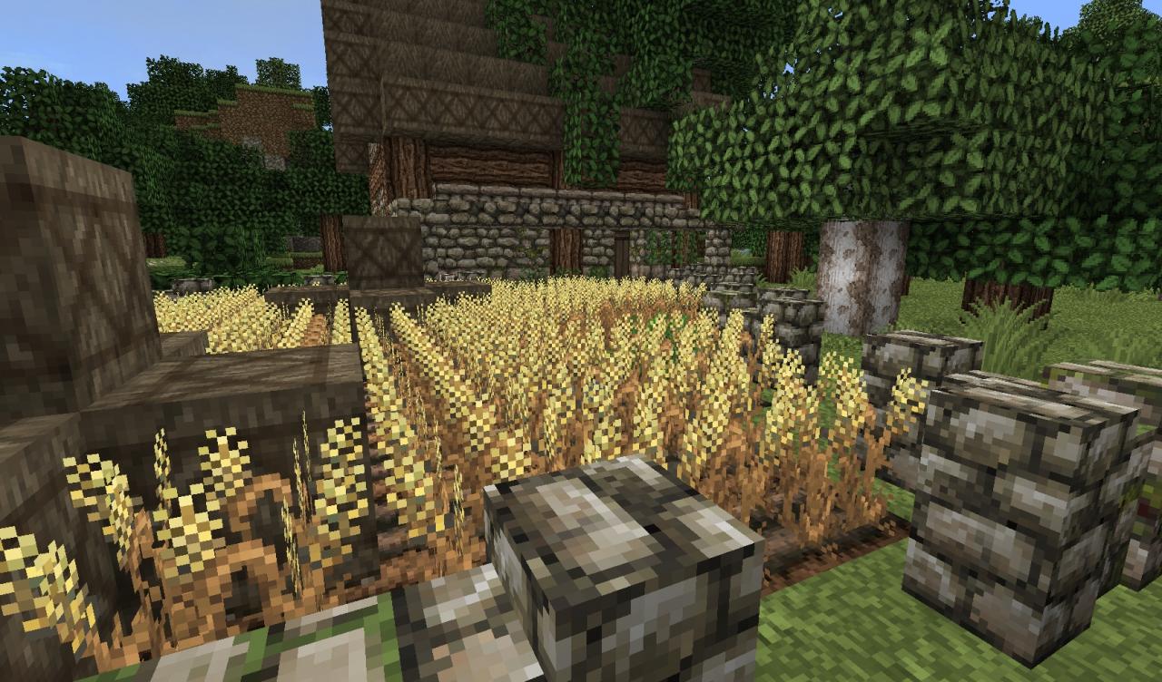 Farm house Minecraft Map