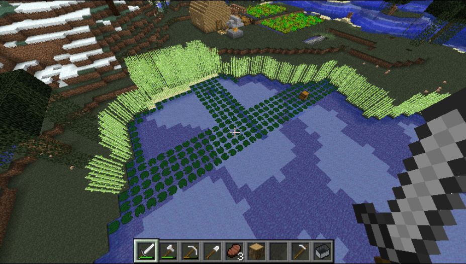 My first ever survival! Minecraft Map