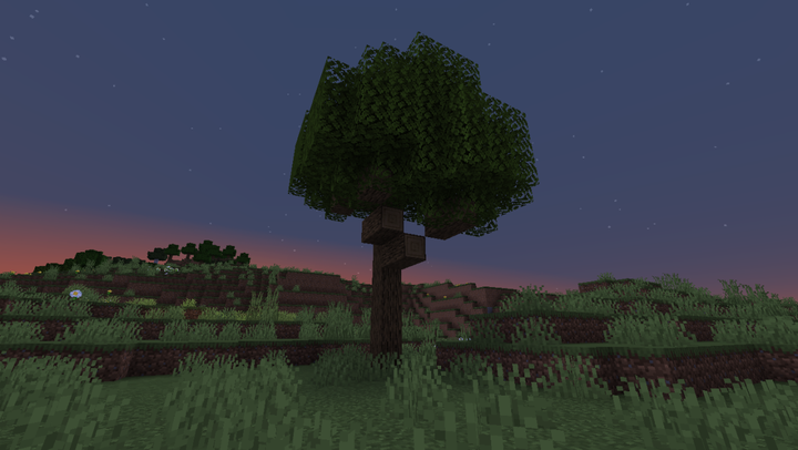 The Community! Minecraft Server