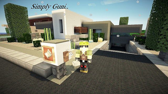 Simply Guny A minimal home Minecraft Map