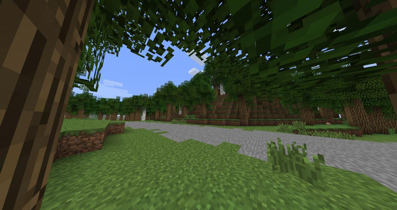 Run map in forest. (just running) Minecraft Map