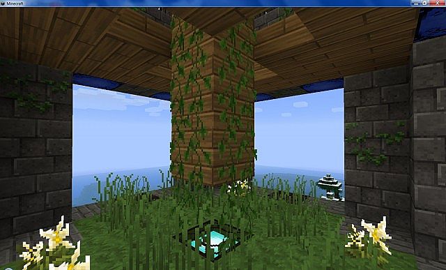 Wizard's Home Minecraft Map