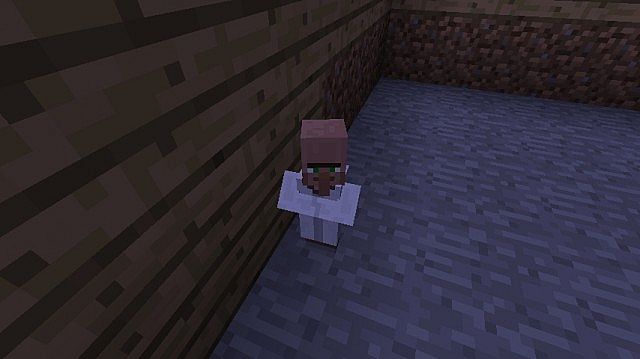 real life Minecraft Texture Pack